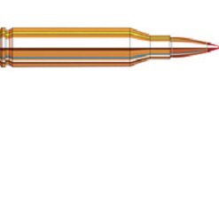 RIFLE AMMUNITION - Shoot Straight